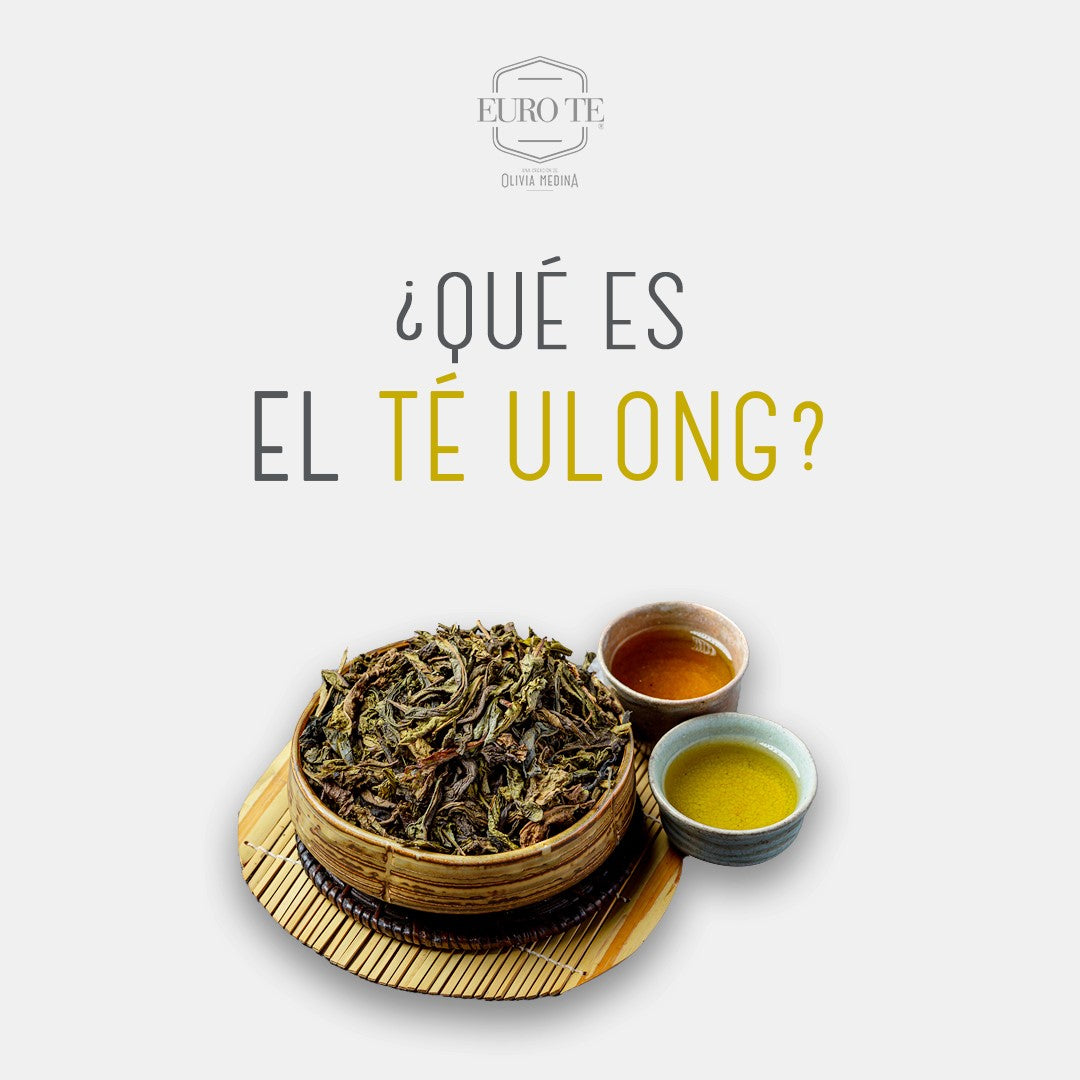Té ulong – EURO TE