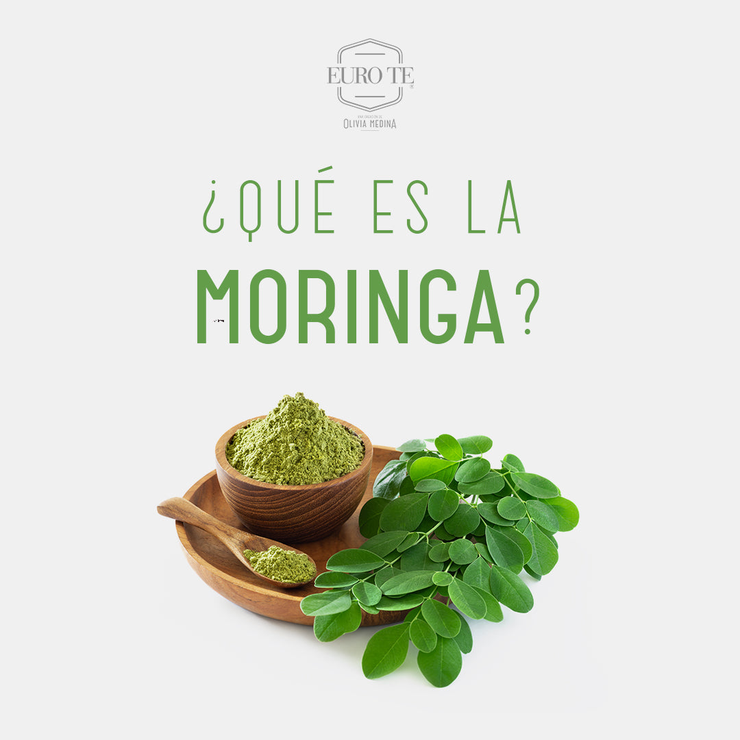 ¿Qué es la Moringa? – EURO TE